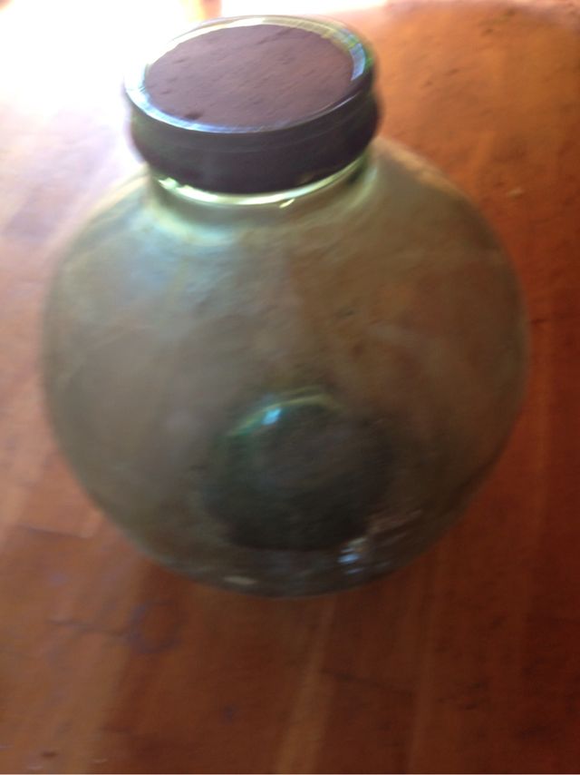 Garafa de segunda mano por 45 EUR en Vilafant en WALLAPOP