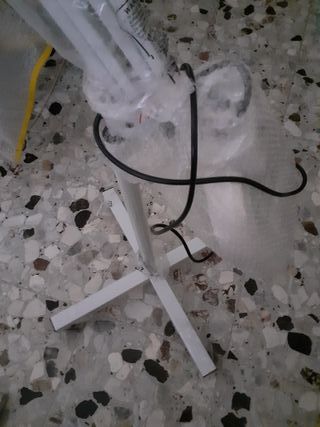 Lampada di ingrandimento