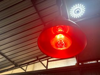 Lampada per scalda vivande bancone vetrina