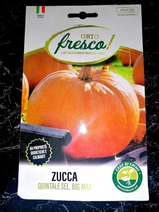 Bustina semi ZUCCA QUINTALE SELEZIONE BIG MAX ORTA