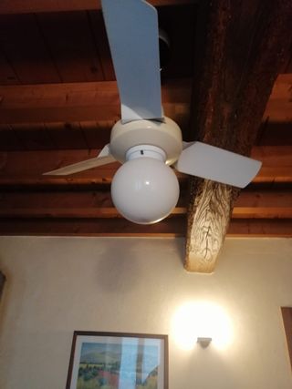 Ventilatore con lampada