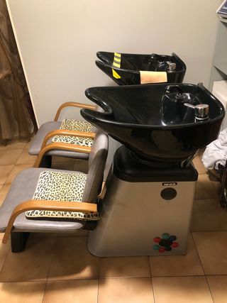 Lavatesta professionale