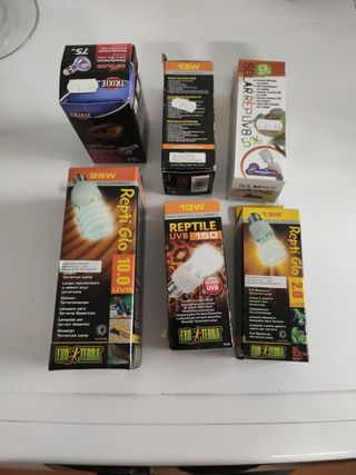 lampade per terrario