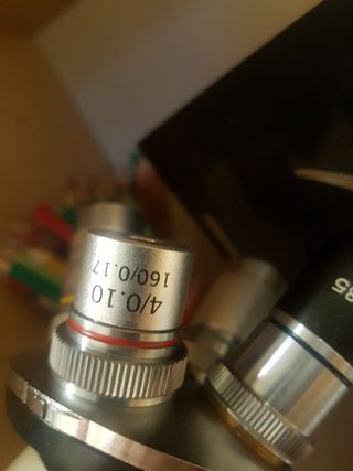 microscopio ottico 600x