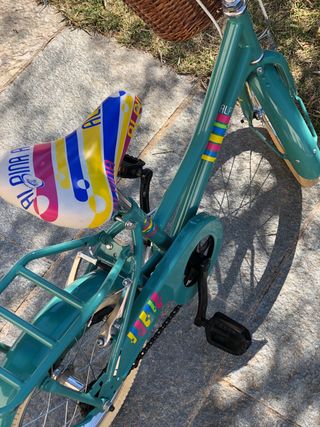Bicicletta Alpina
