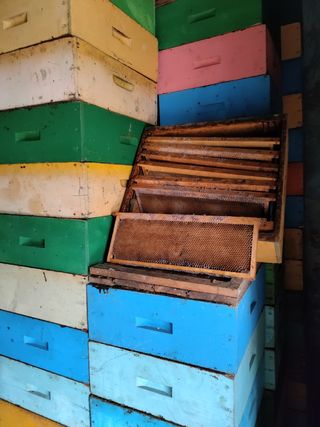 attrezzature apistiche