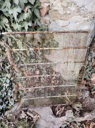 attrezzature apistiche