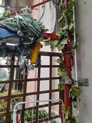 Paranco portata 130 Kg. completo di asta sostegno