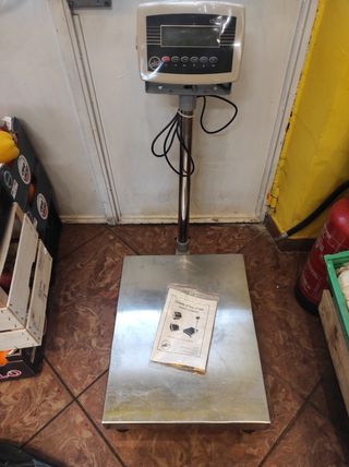 vendo bilancia professionale