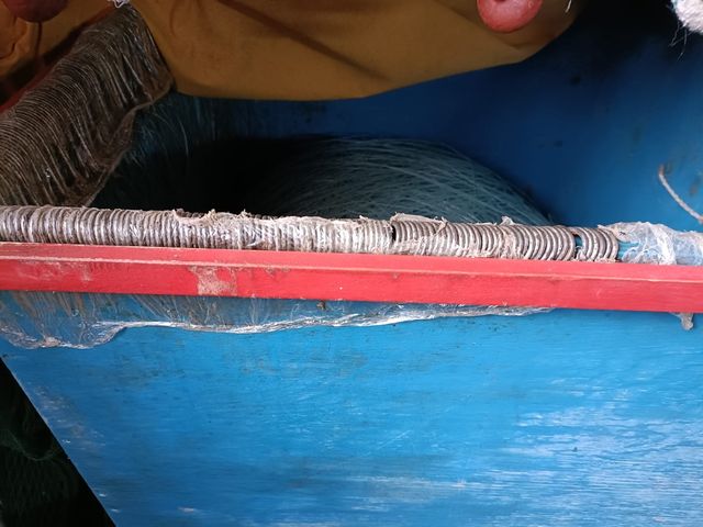 Palamito professionale per pesce spada : attrezzature di lavoro in ...
