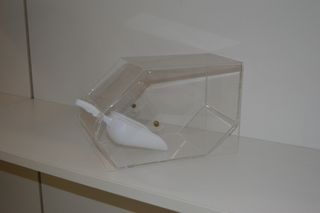 Arredo per negozio