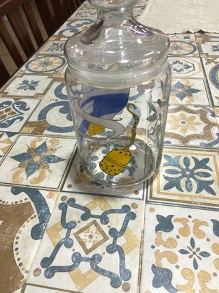 Barattoli vetro 
