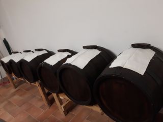 aceto balsamico tradizionale di Modena