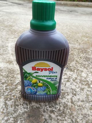 rinverdente solfato di ferro Baysol