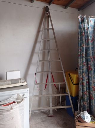 scale da frutteto, defogliatrice