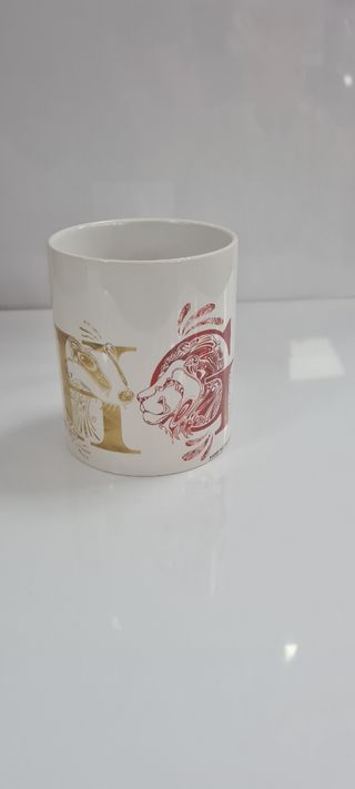 Tazza in porcellana di Harry Potter 