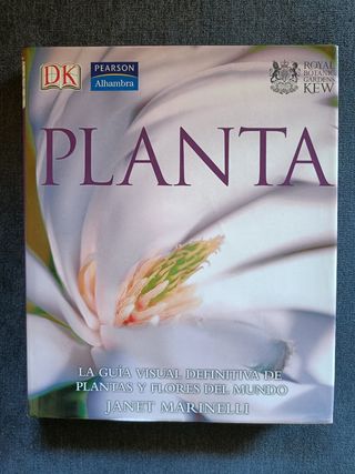 Planta - Janet Marinelli de segunda mano por 35 EUR en Ourense en WALLAPOP