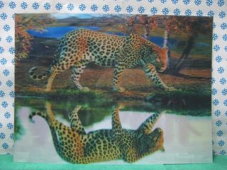 LEOPARDO   Set 4 Tovagliette all'Americana