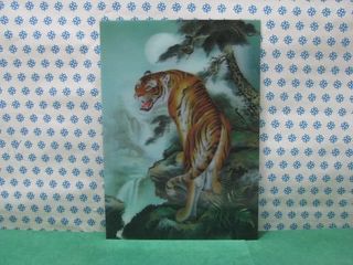 TIGRE  Set 4 Tovagliette all'Americana