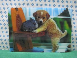 Cane e Coniglio  Set 4 Tovagliette all'Americana