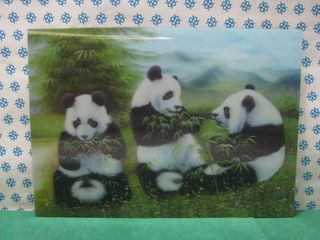 PANDA  Set 4 Tovagliette all'Americana