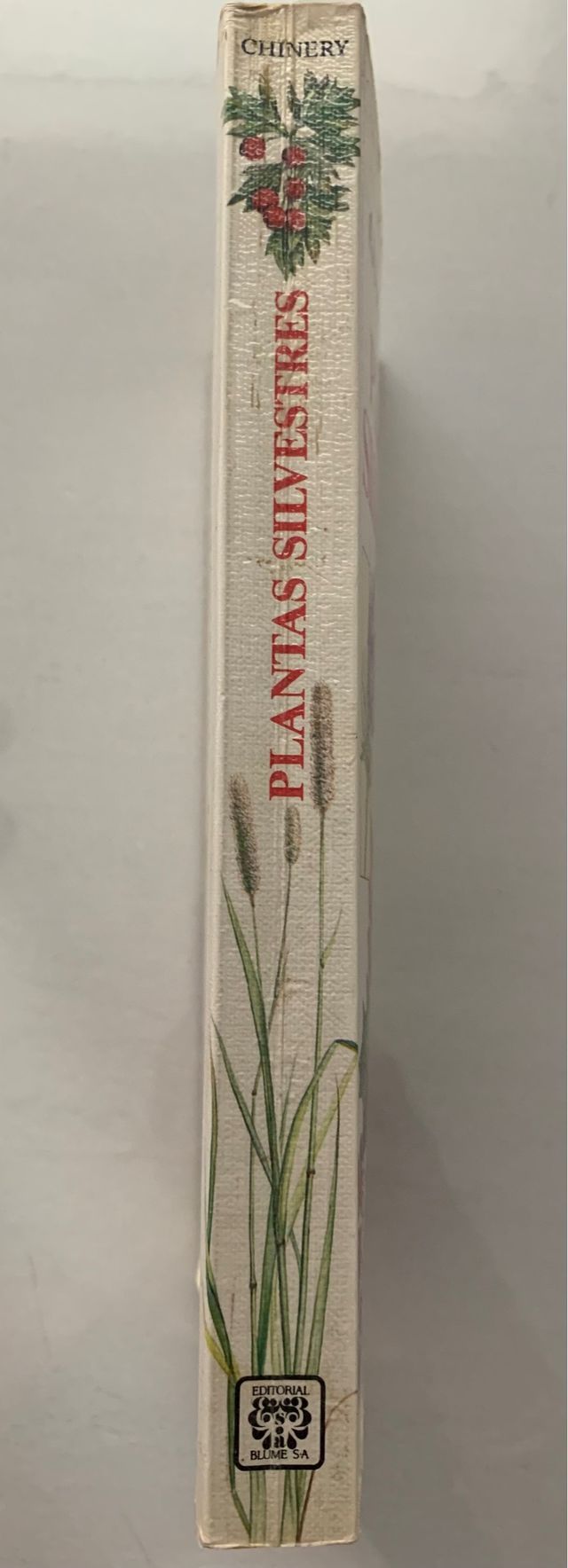 Guía De Campo De Las Plantas Silvestres De Segunda Mano Por 20 Eur En