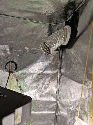 grow box