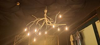 Tree-lamp
