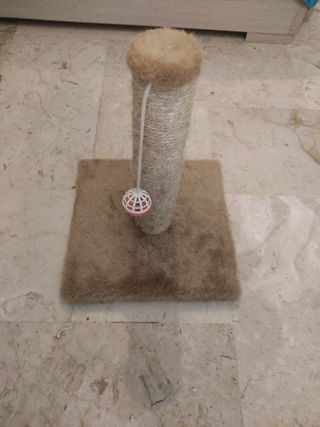 tiragraffi gatto