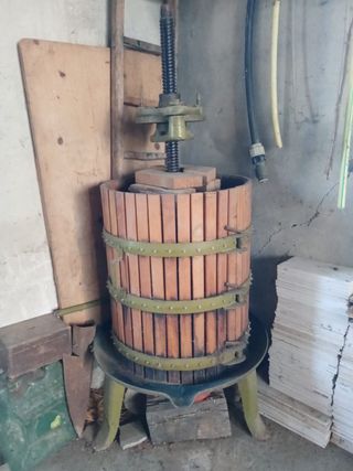 torchio per spremere uva professionale