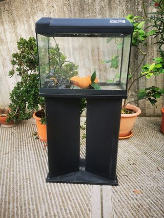 acquario con mobiletto. accessori e pompa