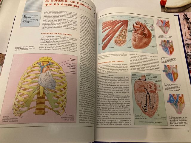 Atlas de Anatomía. El cuerpo y la salud. de segunda mano por 25 EUR en ...