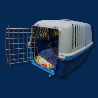 Trasportino animali