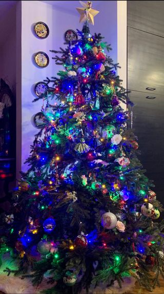 Albero di Natale 