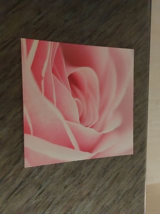 Quadro in tela plastificata 