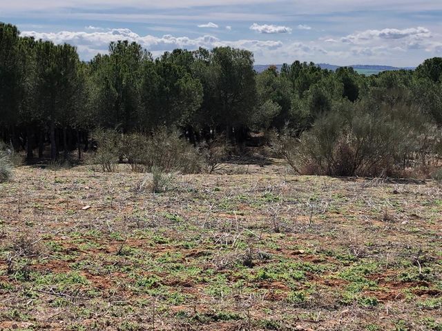 Parcelas En El Casar Urb Los Arenales Por 60 000 Eur En Urbanizacion El