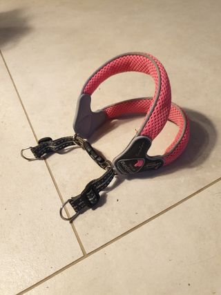 guinzaglio coralpina 