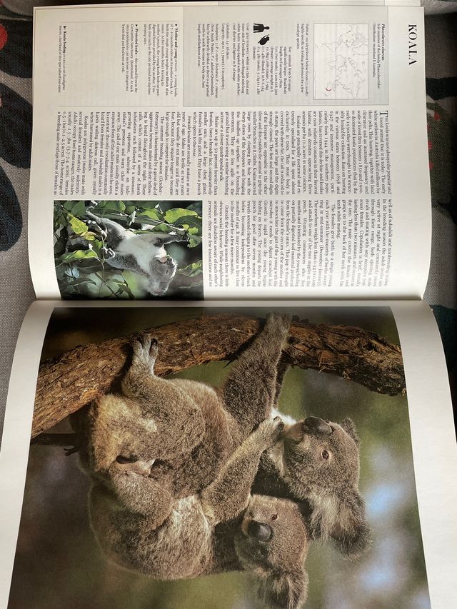 La enciclopedia de los Mamíferos , en inglés de segunda mano por 7 EUR ... La enciclopedia de los Mamíferos , en inglés de segunda mano por 7 EUR ...
