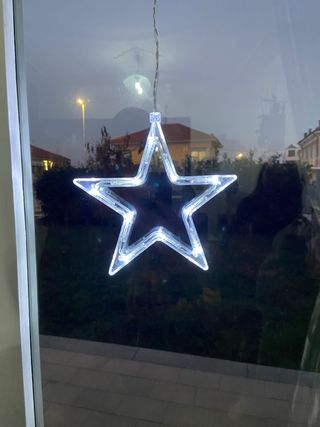 Stella natalizia 