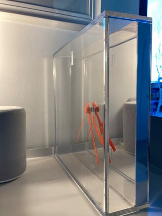 Kartell Philippe Stark clock tic tac