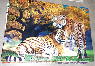 Tovaglietta Colazione Pranzo 3D Bambini Scuola