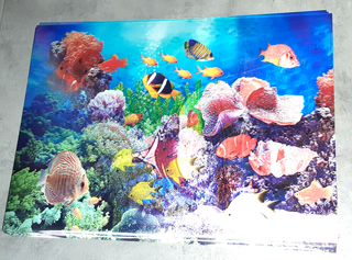 Tovaglietta Colazione Pranzo 3D Bambini Scuola