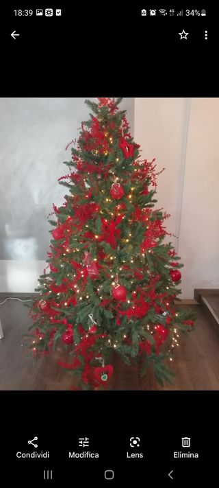 Albero di natale