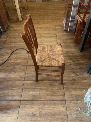 Vendo 40 sedie ristorante 