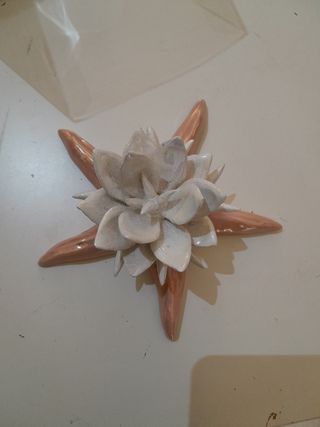 stella marina con fiore madreperla