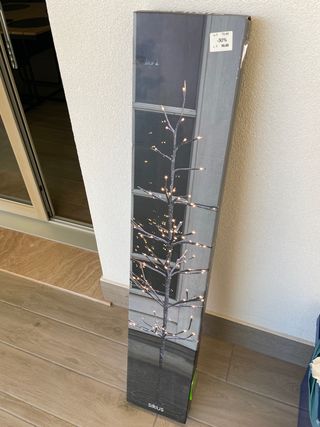 Albero Alex Sirius Coin