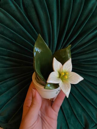 piccolo vasetto per piante in ceramica 