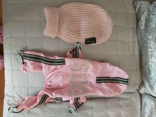 Tutina e maglioncino x cane