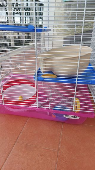 gabbie criceti e accessori