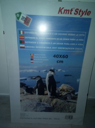 Cornice decorativa 40x60